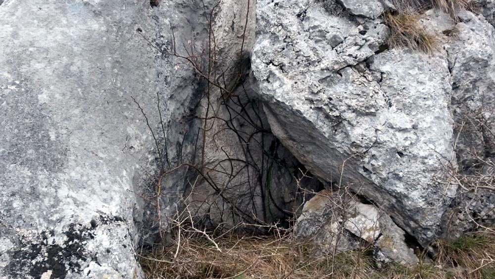 Vizuina cu purici | Speologie Romania