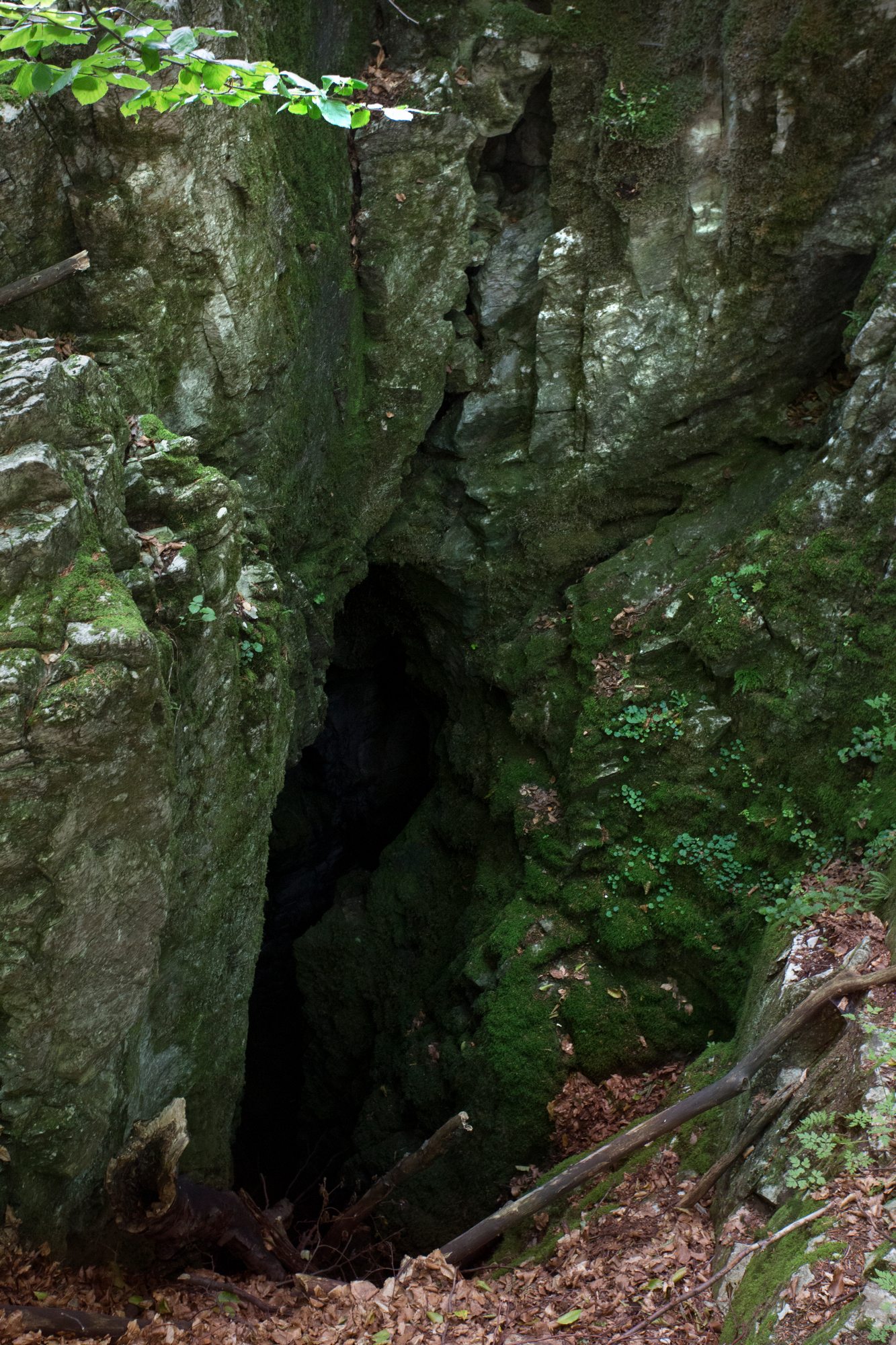 Avenul Frigului de la Prăguș | Speologie Romania