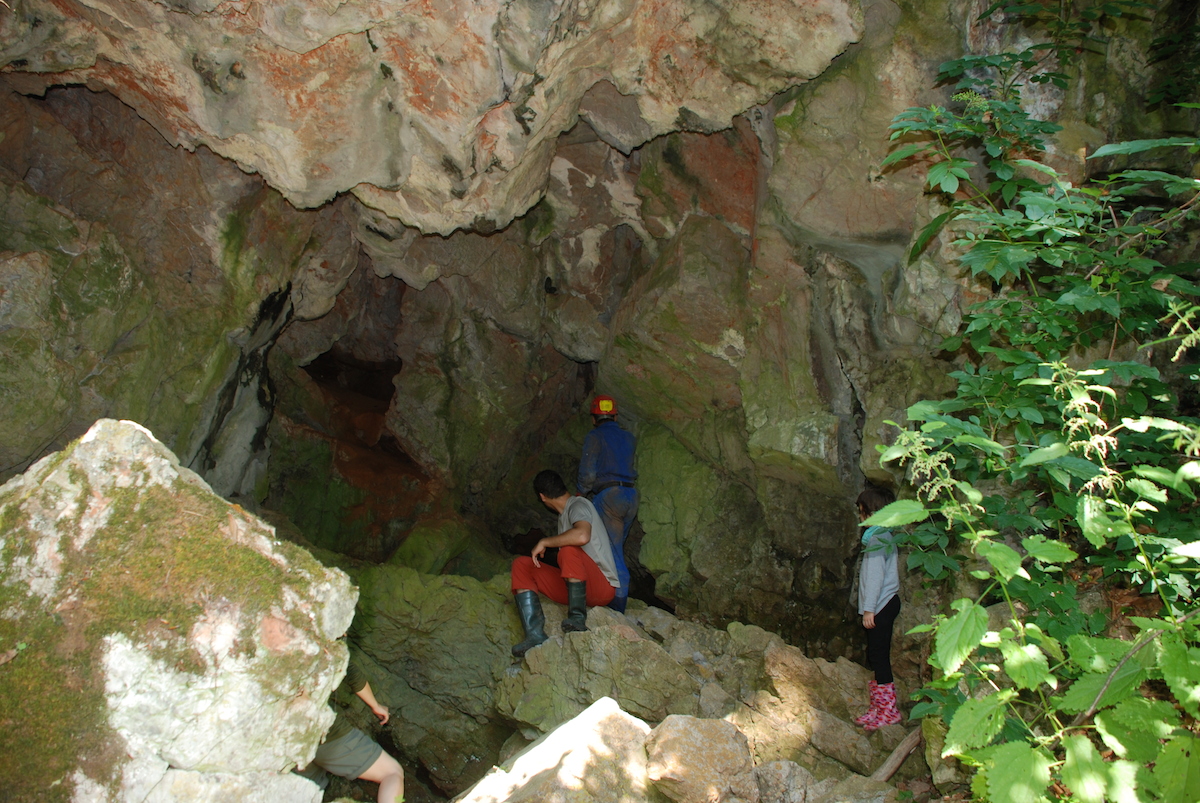 Grota (Gaura) Ursului | Speologie Romania