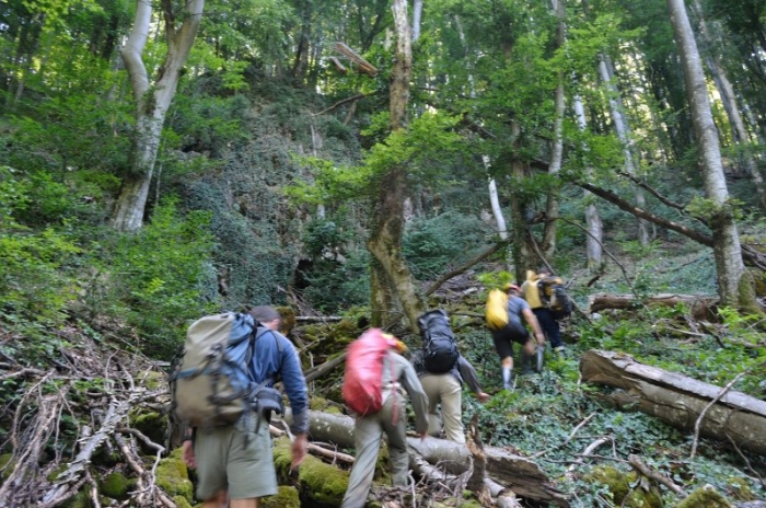 Grota (Gaura) Ursului | Speologie Romania