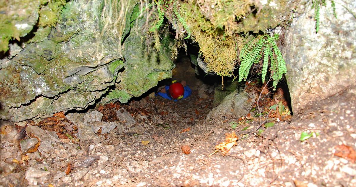 Peștera de la Turbină | Speologie Romania