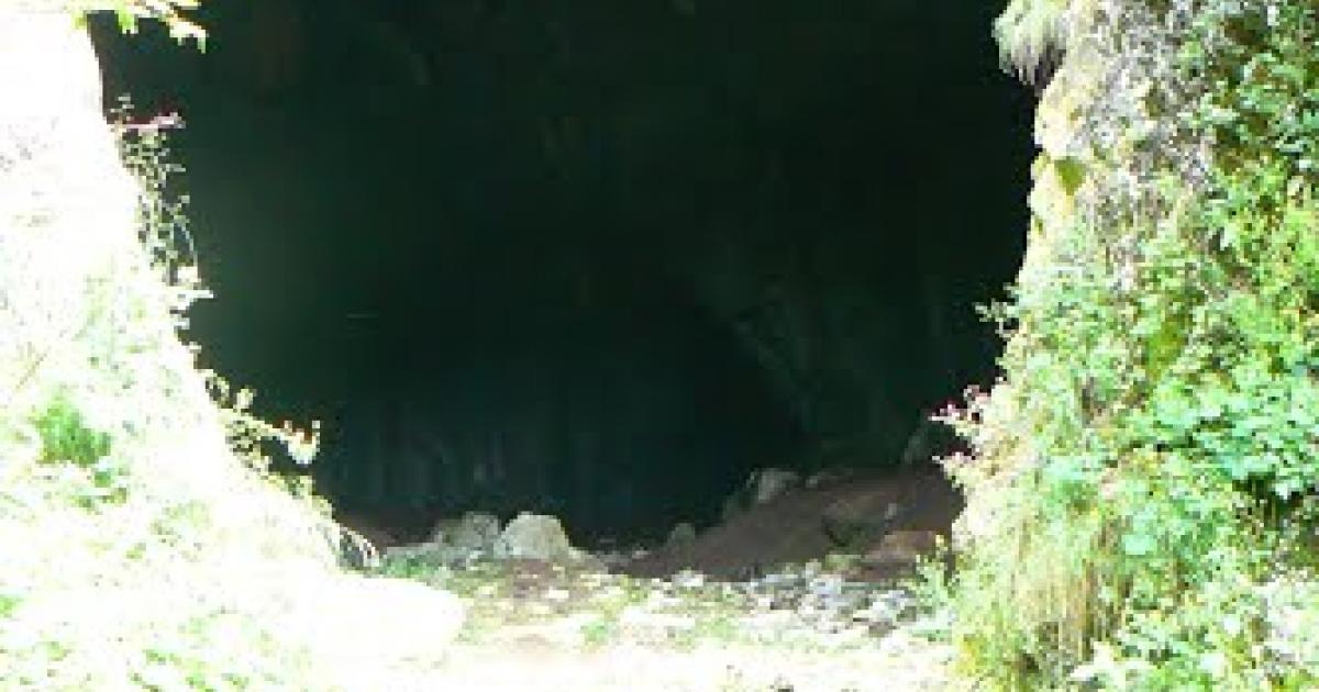 Peștera Mare de la Balta (P. Balta) | Speologie Romania